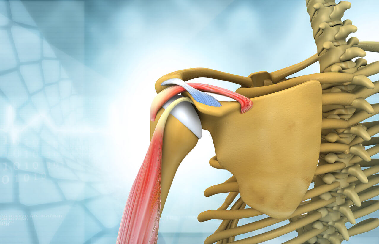 Enhance Your Rotator Cuff Tear Treatment with Physical Therapy